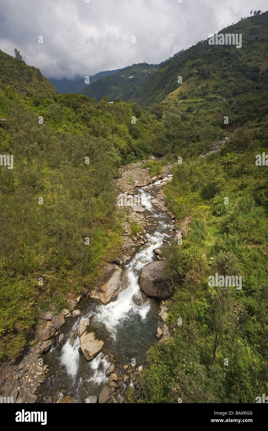 Tributary of the amazon river hi-res stock photography and images - Alamy