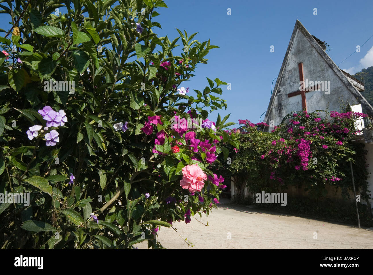 Hyacinth bush & church at a village in the beautiful Pastaza River ...