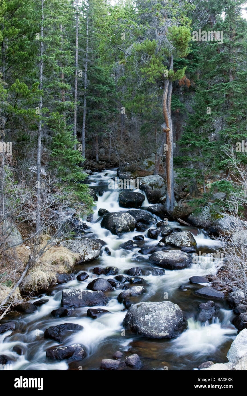Cascading waterfall and trees hi-res stock photography and images - Alamy