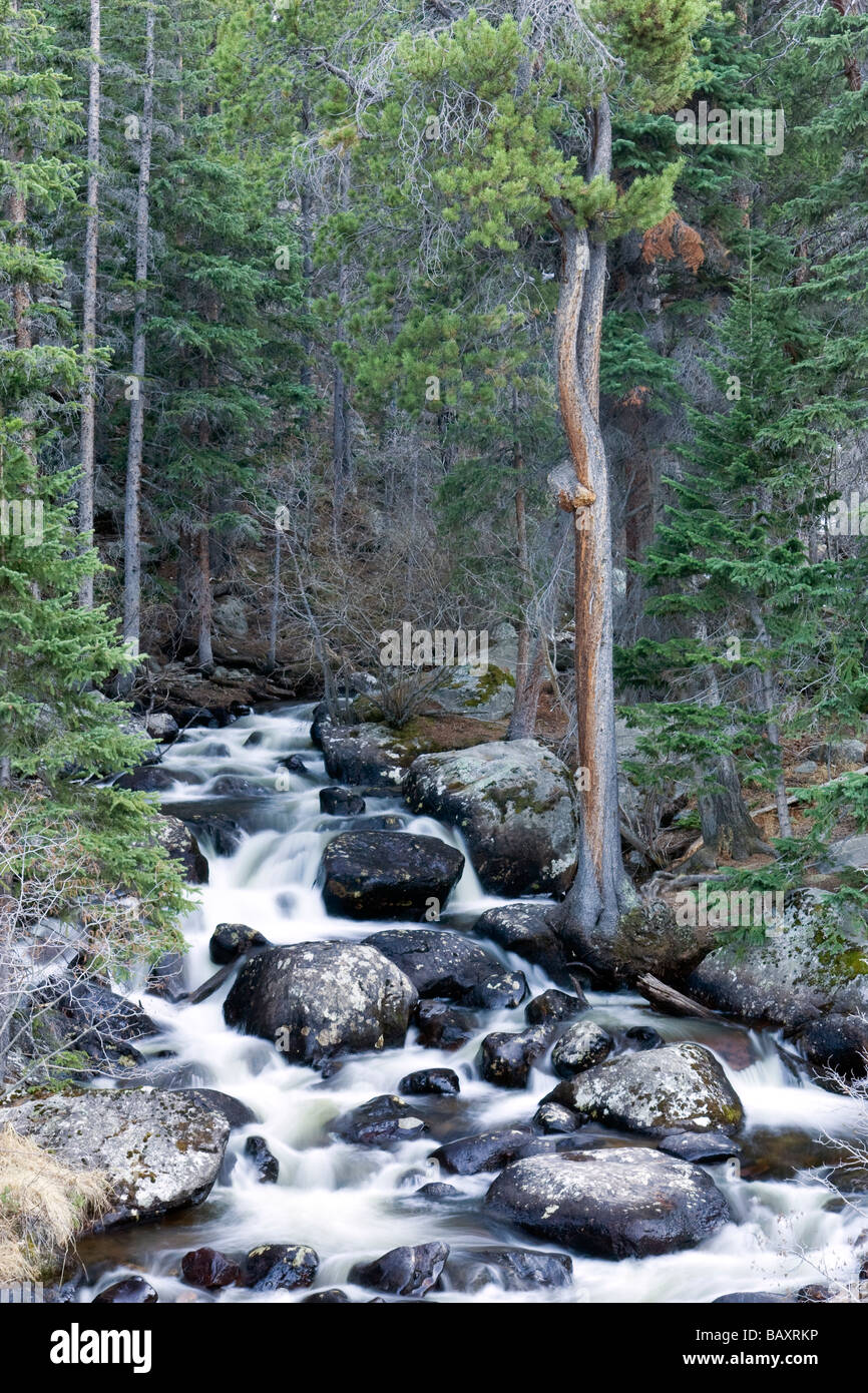Cascading creek / waterfall - Rocky Mountain National Park - Estes Park ...
