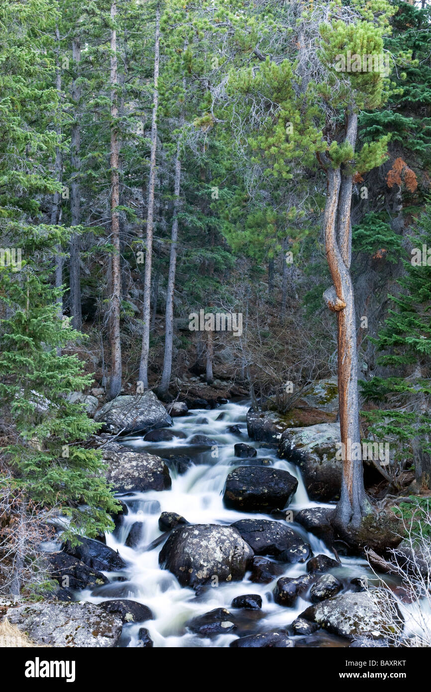 Cascading creek / waterfall - Rocky Mountain National Park - Estes Park ...