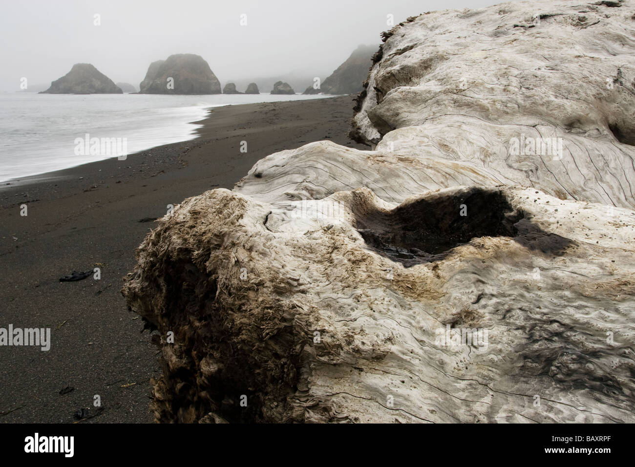 Driftwood and beach landscape - Elk, California Stock Photo - Alamy