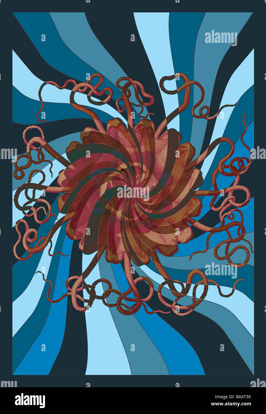 Jellyfish: Psychedelic Jellyfish Stock Photo - Alamy