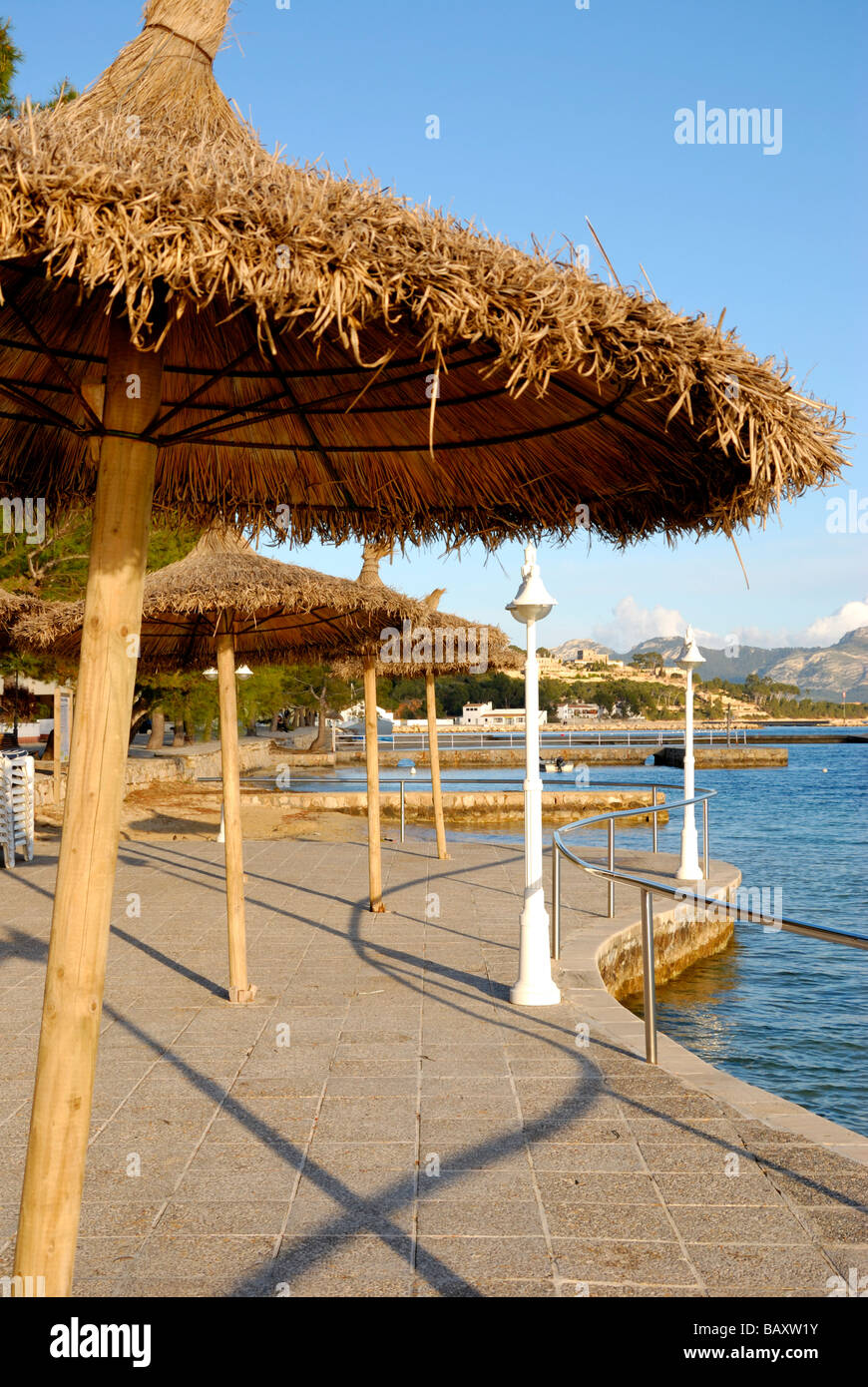 Straw sun umbrellas beside Pollensa bay Stock Photo - Alamy