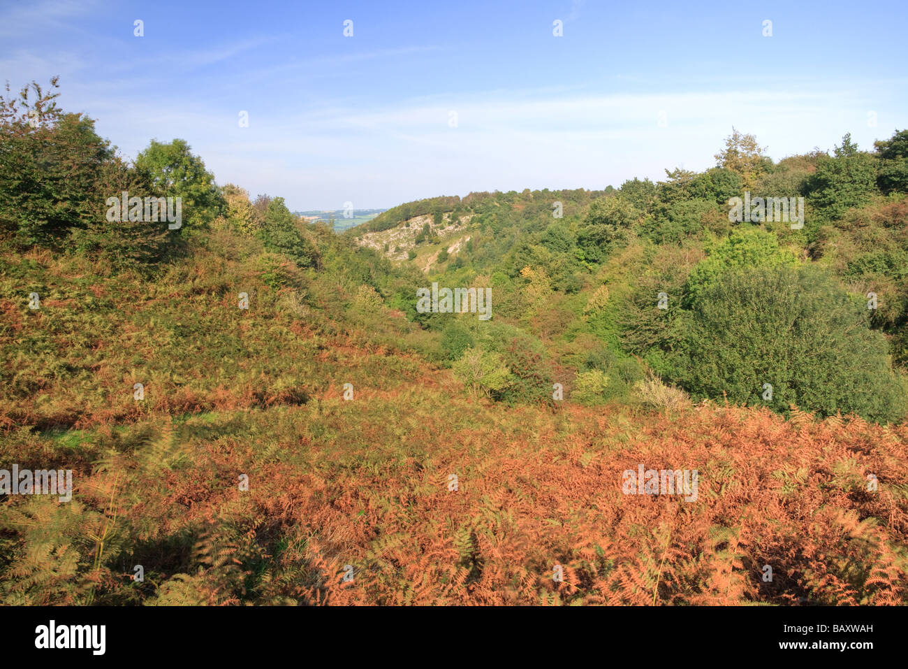 Burrington hi-res stock photography and images - Alamy