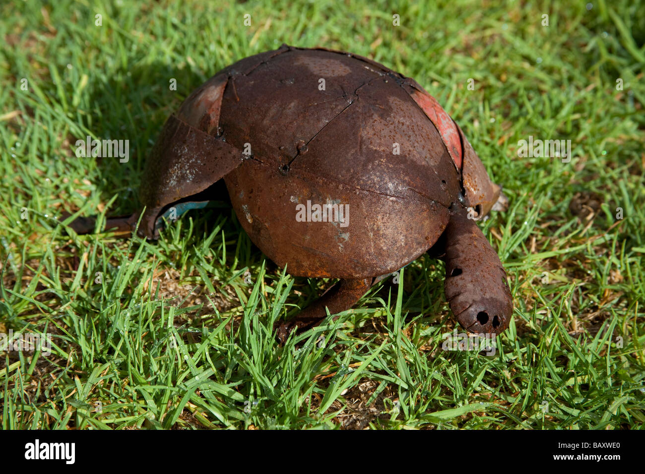 Iron tortoise, Souvenir, South Africa Stock Photo - Alamy
