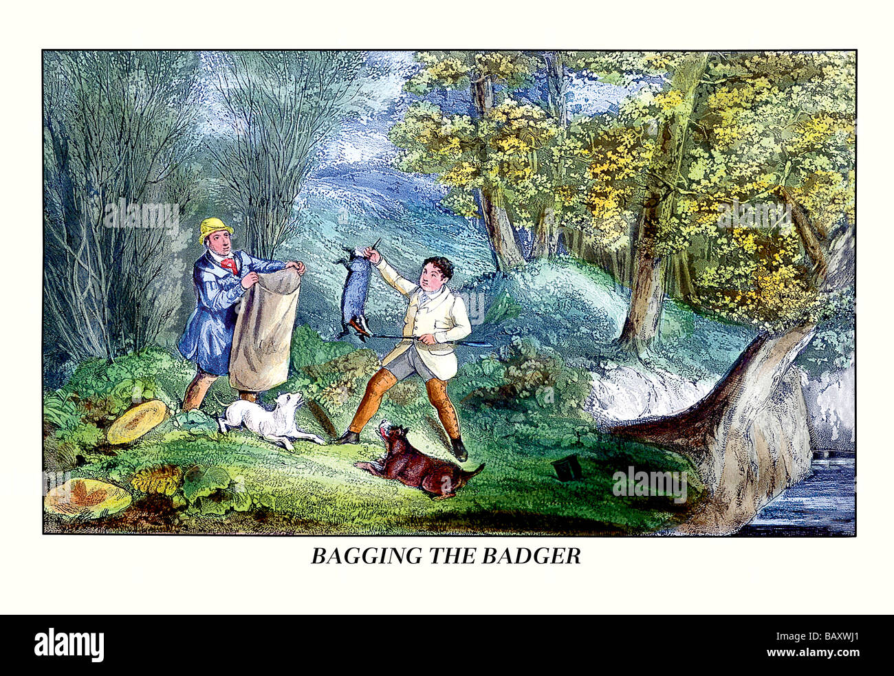 Bagging the Badger Stock Photo - Alamy