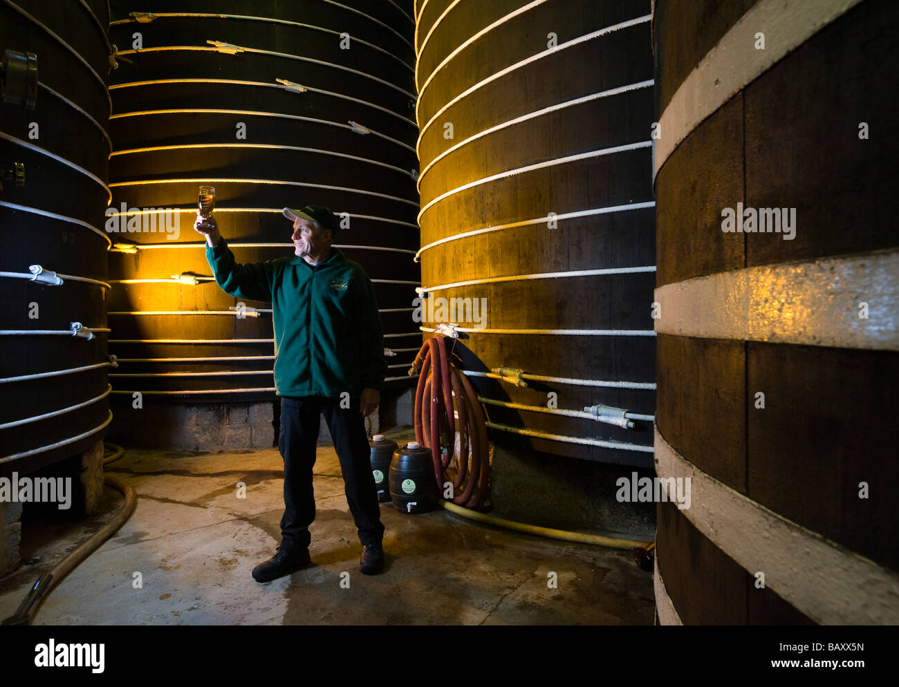 Worker checking cider amongst oak cider vats Thatchers Cider Sandford ...