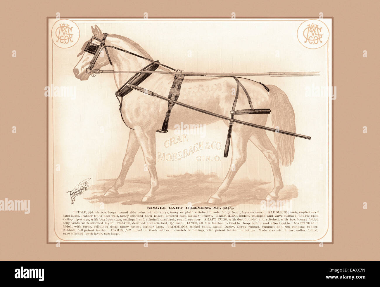 Single Cart Harness Stock Photo - Alamy