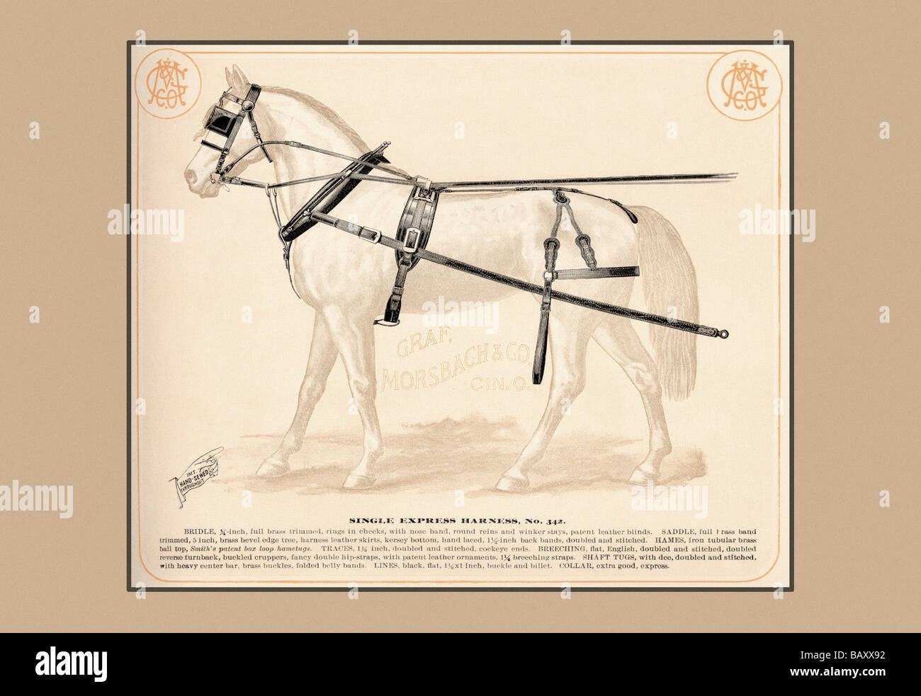 Single Express Harness Stock Photo - Alamy