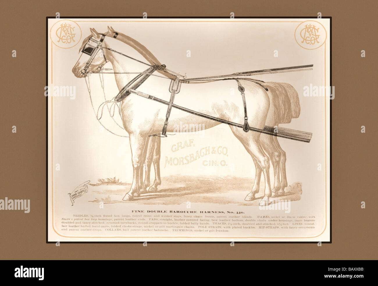 Fine Double Barouche Harness Stock Photo - Alamy