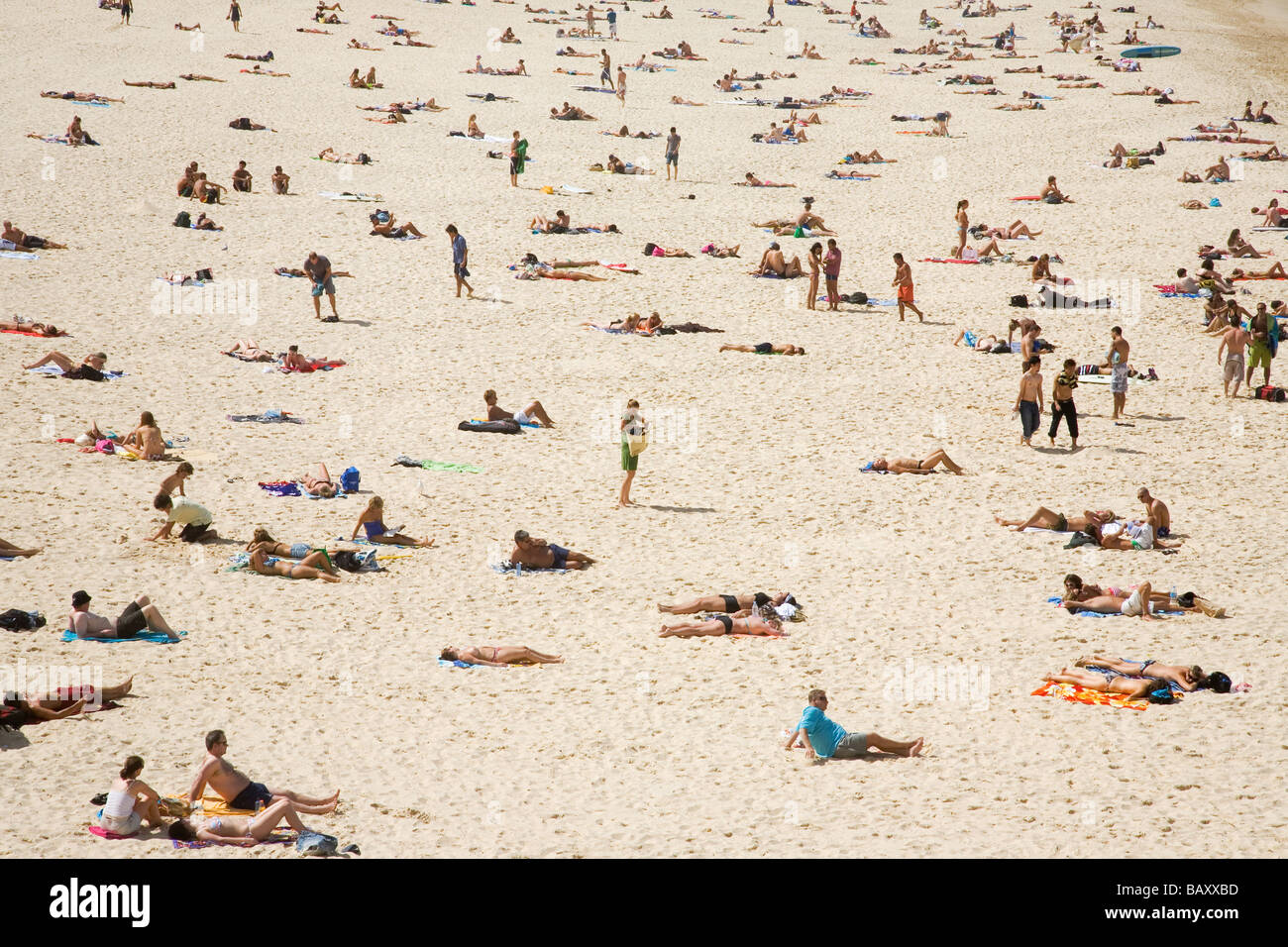 Sunbathers on sydneys iconic bondi hi-res stock photography and images ...