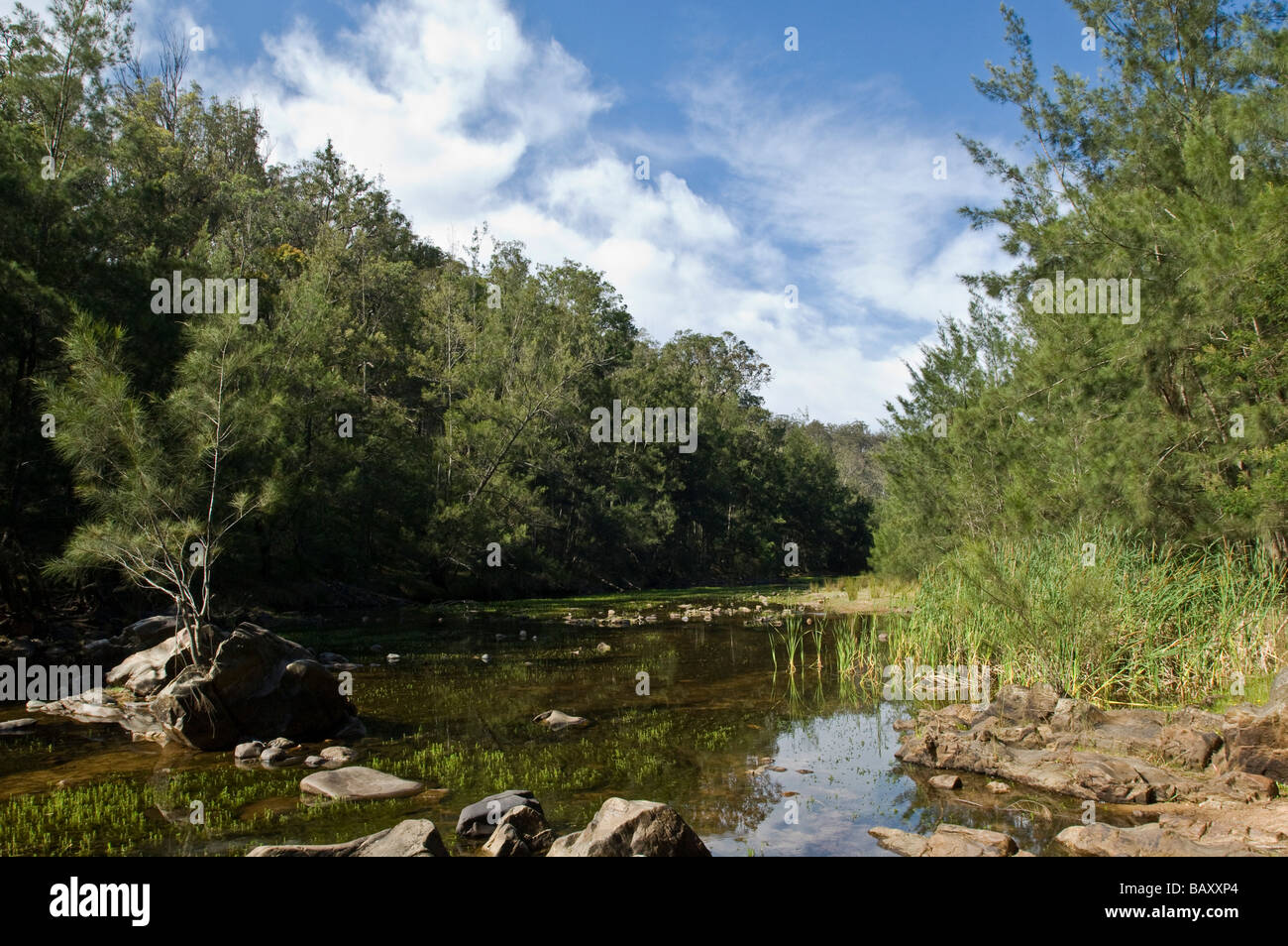 Deua national park hi-res stock photography and images - Alamy