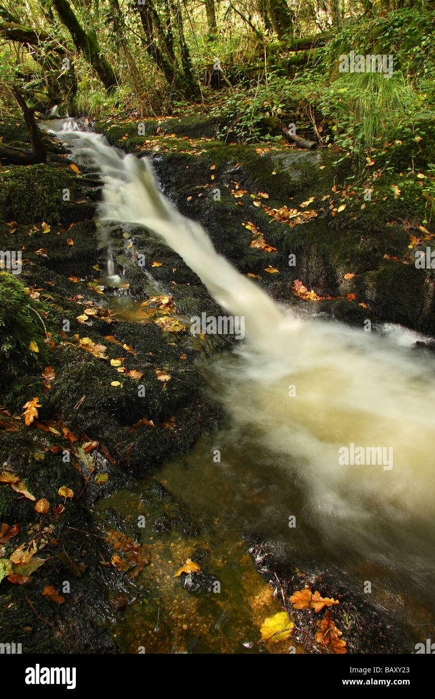 A small waterfall rushing over moss covered stones into a pool below ...