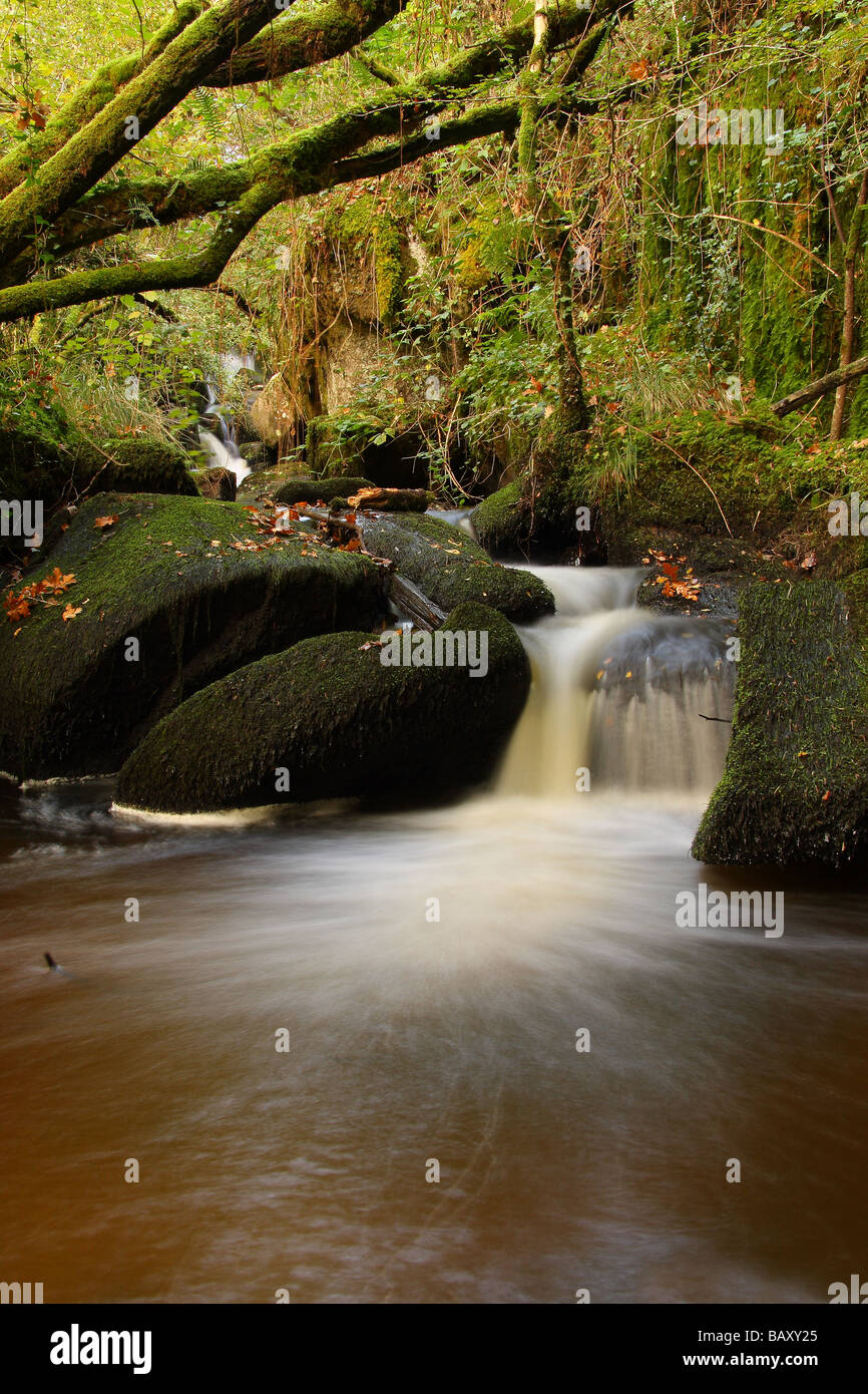 A small waterfall rushing over moss covered stones into a pool below ...
