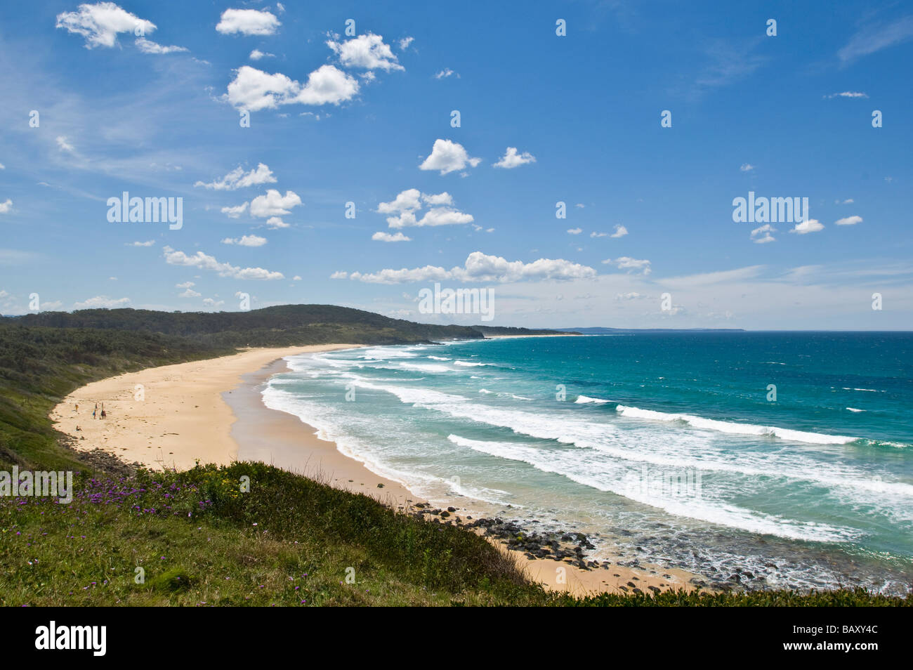 Meringo hi-res stock photography and images - Alamy