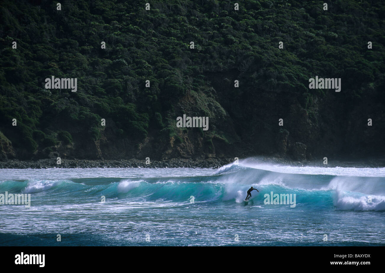 A man surfing, Neds Beach, Lord Howe Island, Australia Stock Photo - Alamy