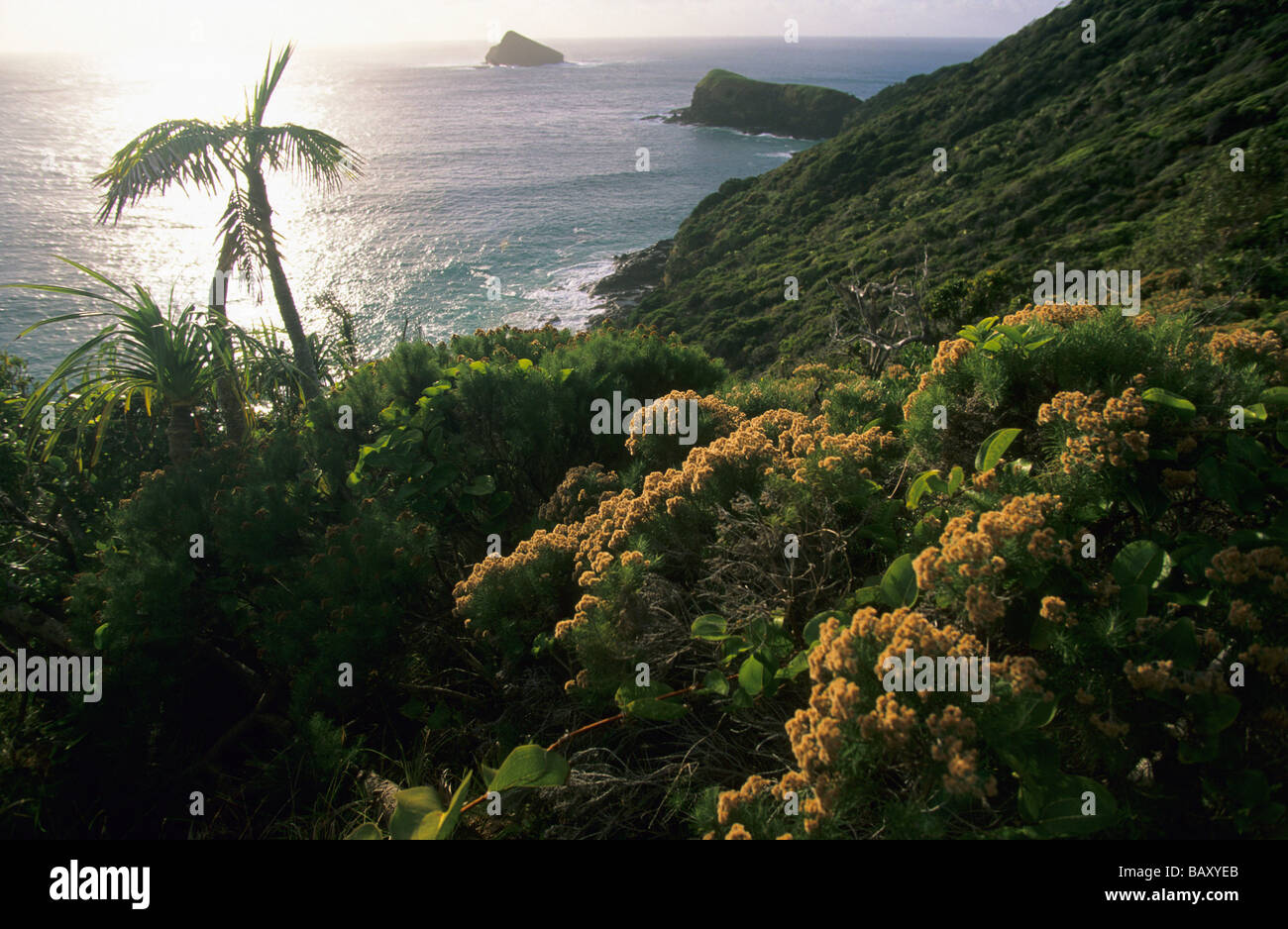 View to Mutton Bird Island and Mutton Bird Point, Lord Howe Island ...