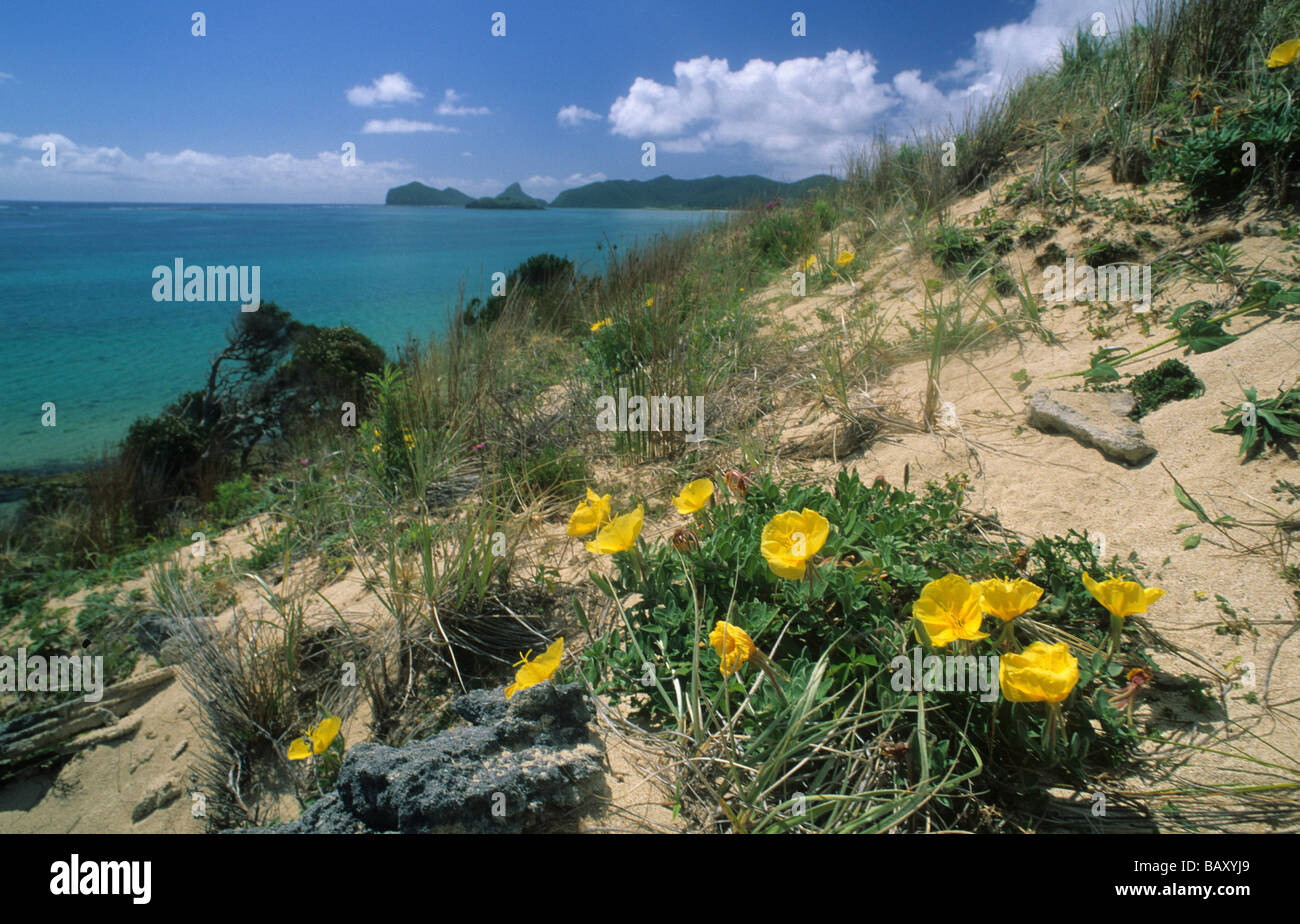 Johnsons beach hi-res stock photography and images - Alamy