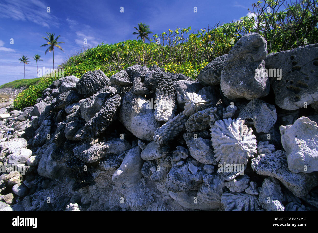 Coral rubble on Pulu Cheplok on the eastern rim of the main atoll ...