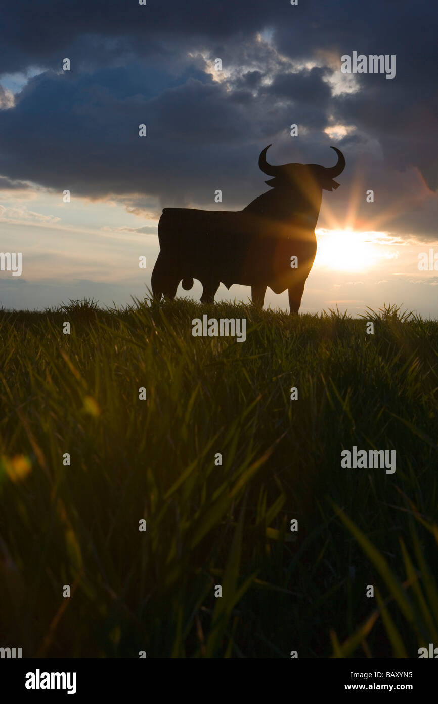 Osborne bull sign hi-res stock photography and images - Alamy