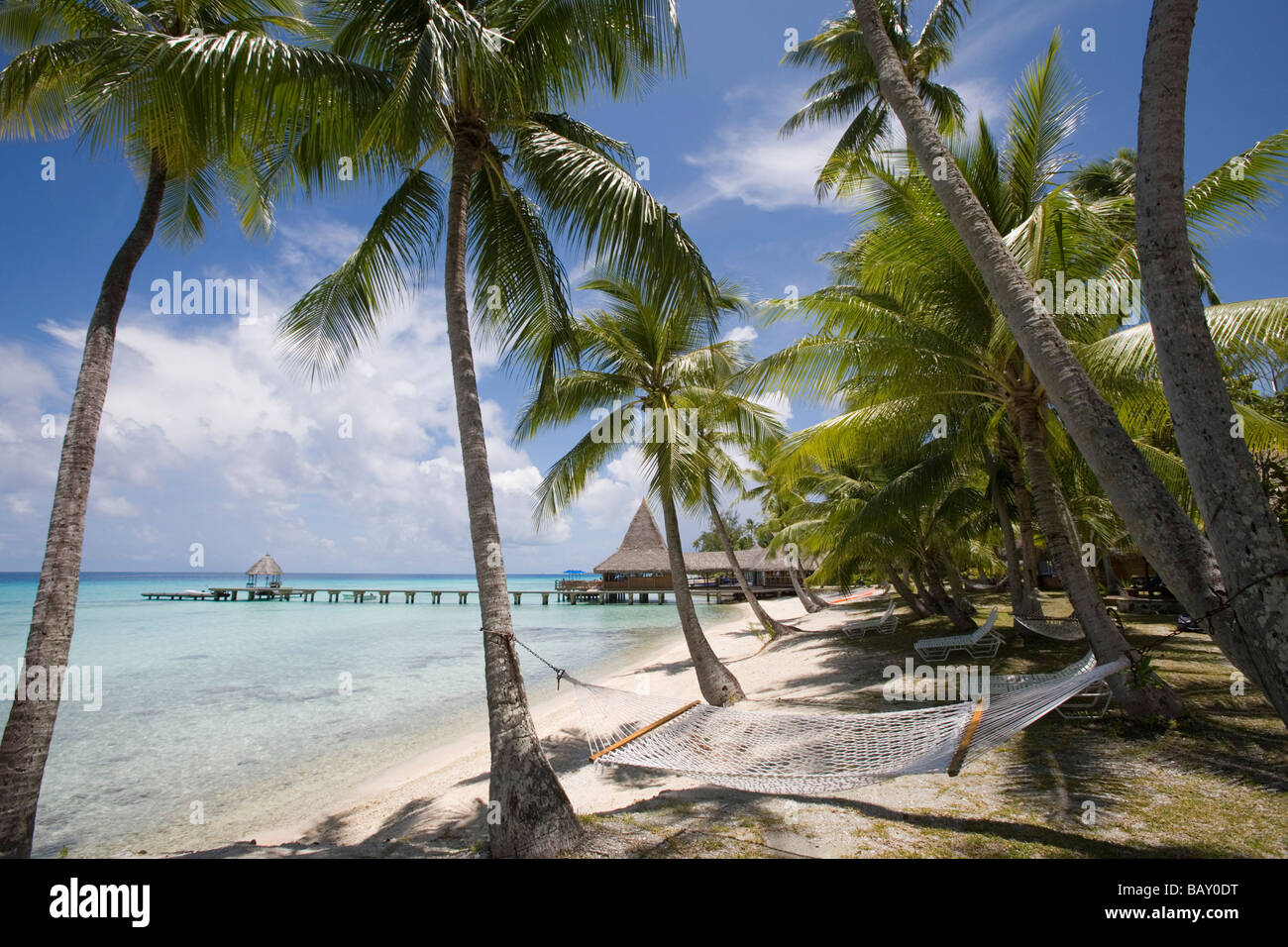 Hammock under coconut trees at Hotel Kia Ora, Avatoru, Rangiroa, The ...