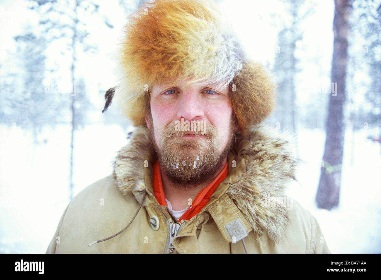 Swedish Man Beard