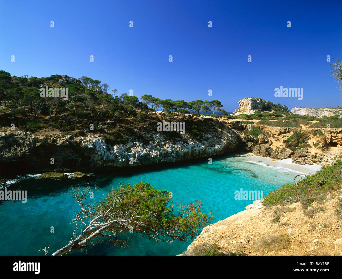 Lonely bay Cala S'Amonia, near Santanyi, Mallorca, Spain Stock Photo ...