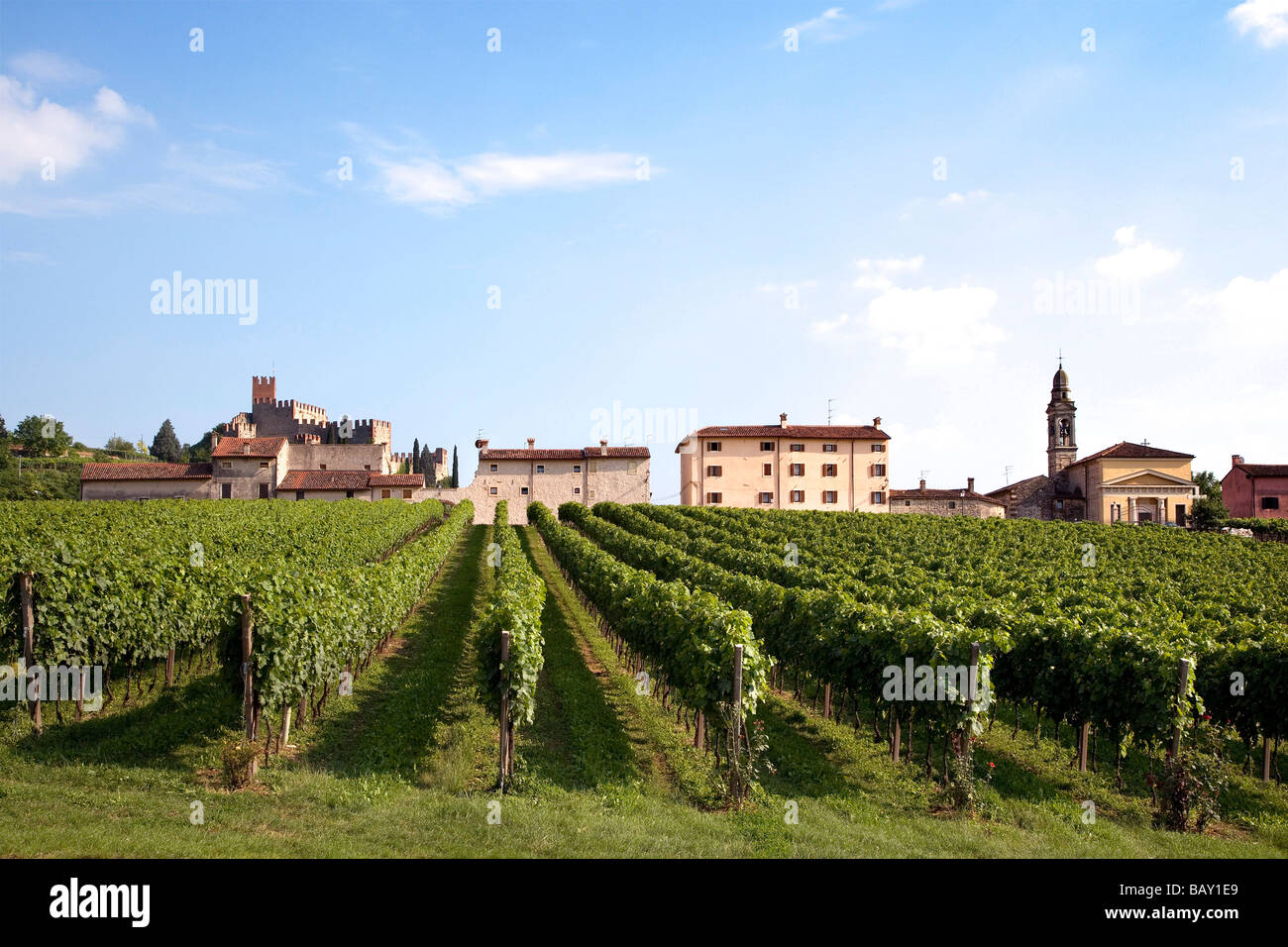 Soave italy hi-res stock photography and images - Alamy