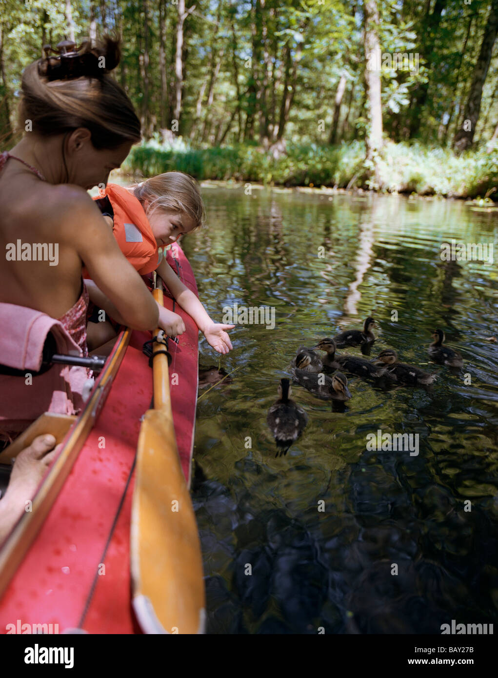 Children with chicks in hi-res stock photography and images - Alamy