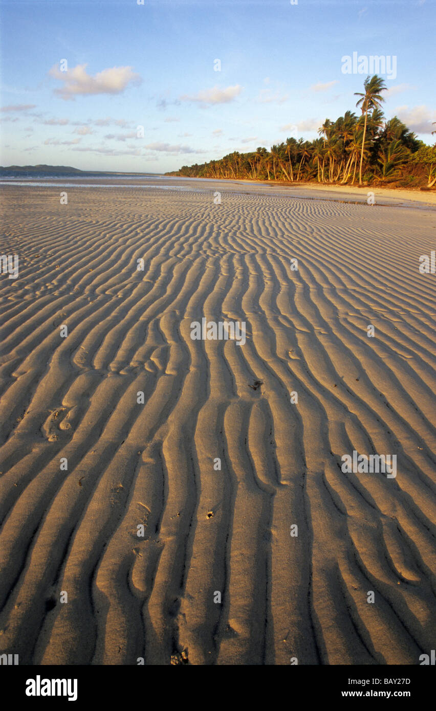 Chili beach australia hi-res stock photography and images - Alamy