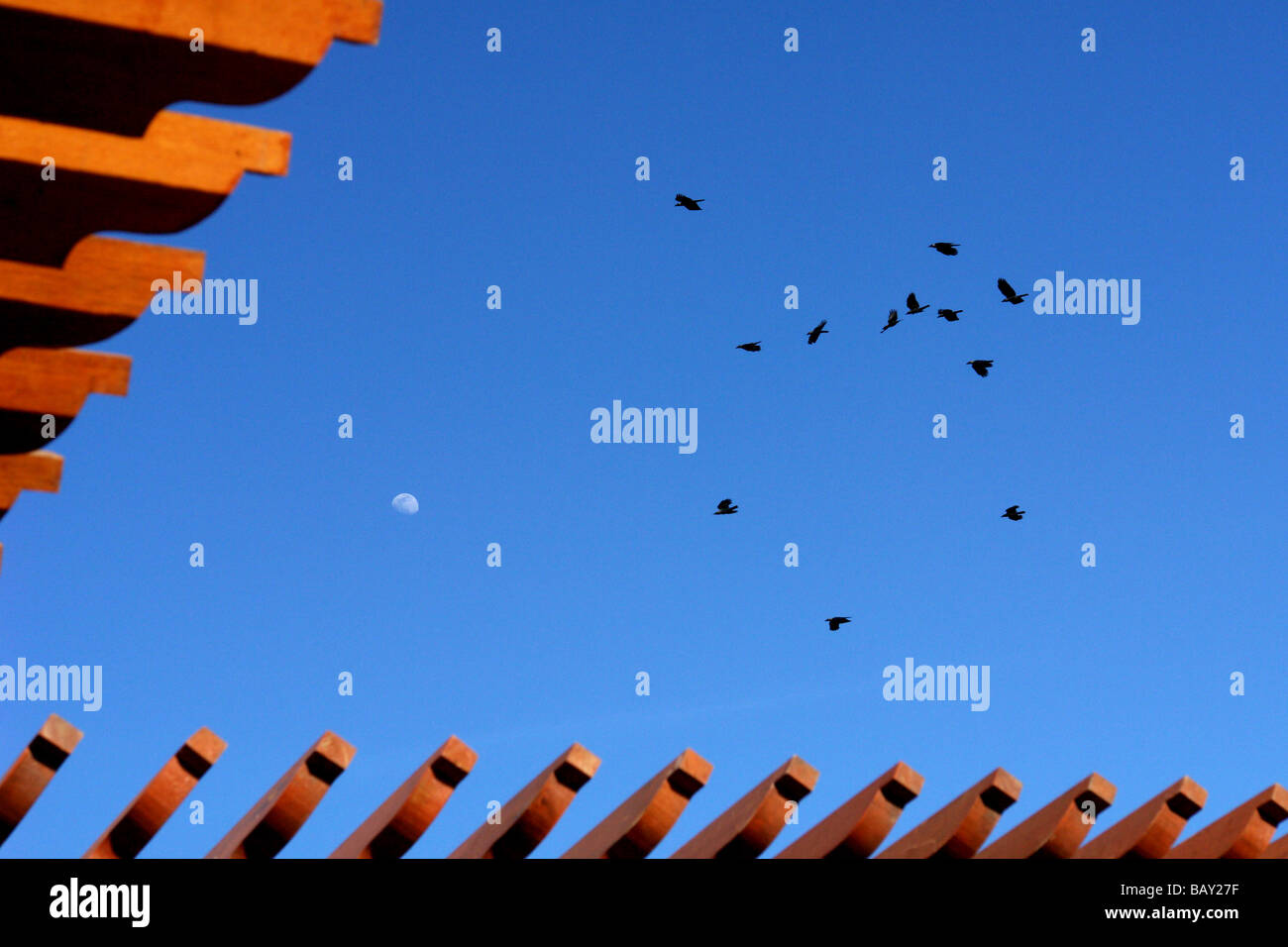 Ras Al Khaimah, RAK, United Arab Emirates, UAE Stock Photo - Alamy