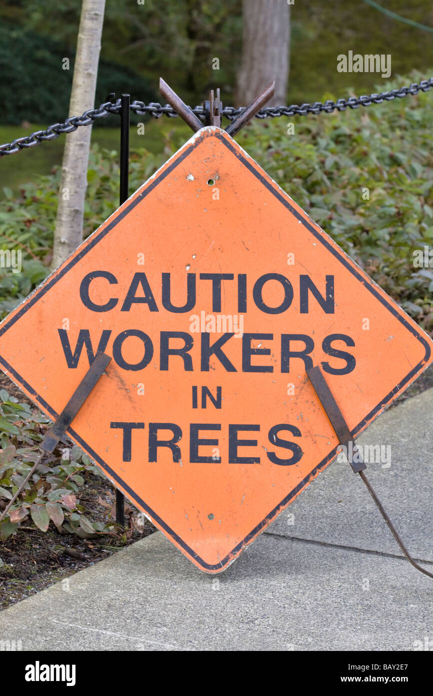 Workers in trees warning sign Stock Photo - Alamy