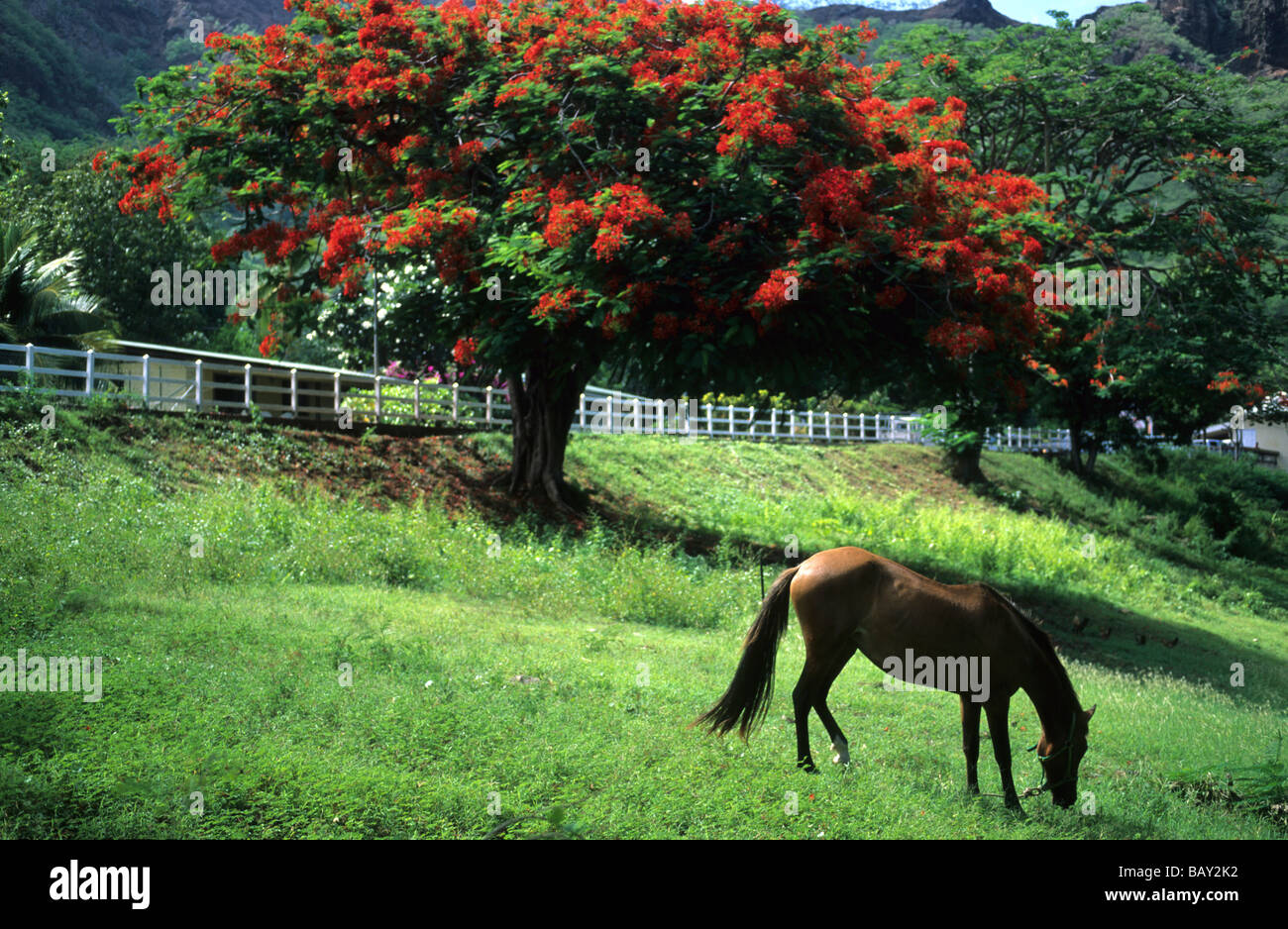 Taiohae town hi-res stock photography and images - Alamy