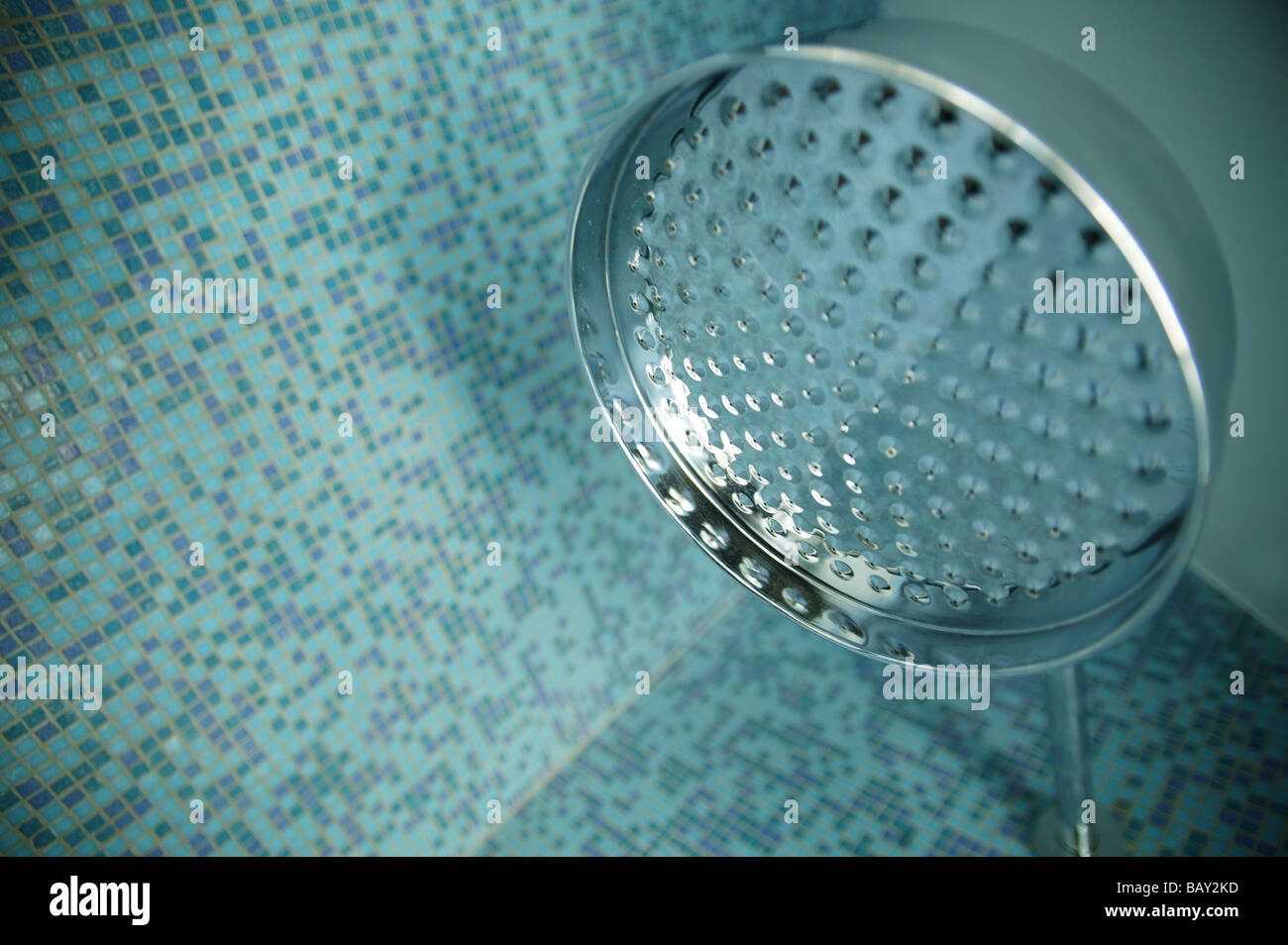 Close up of a shower head, Shower, Bathroom, Lifestyle Stock Photo - Alamy