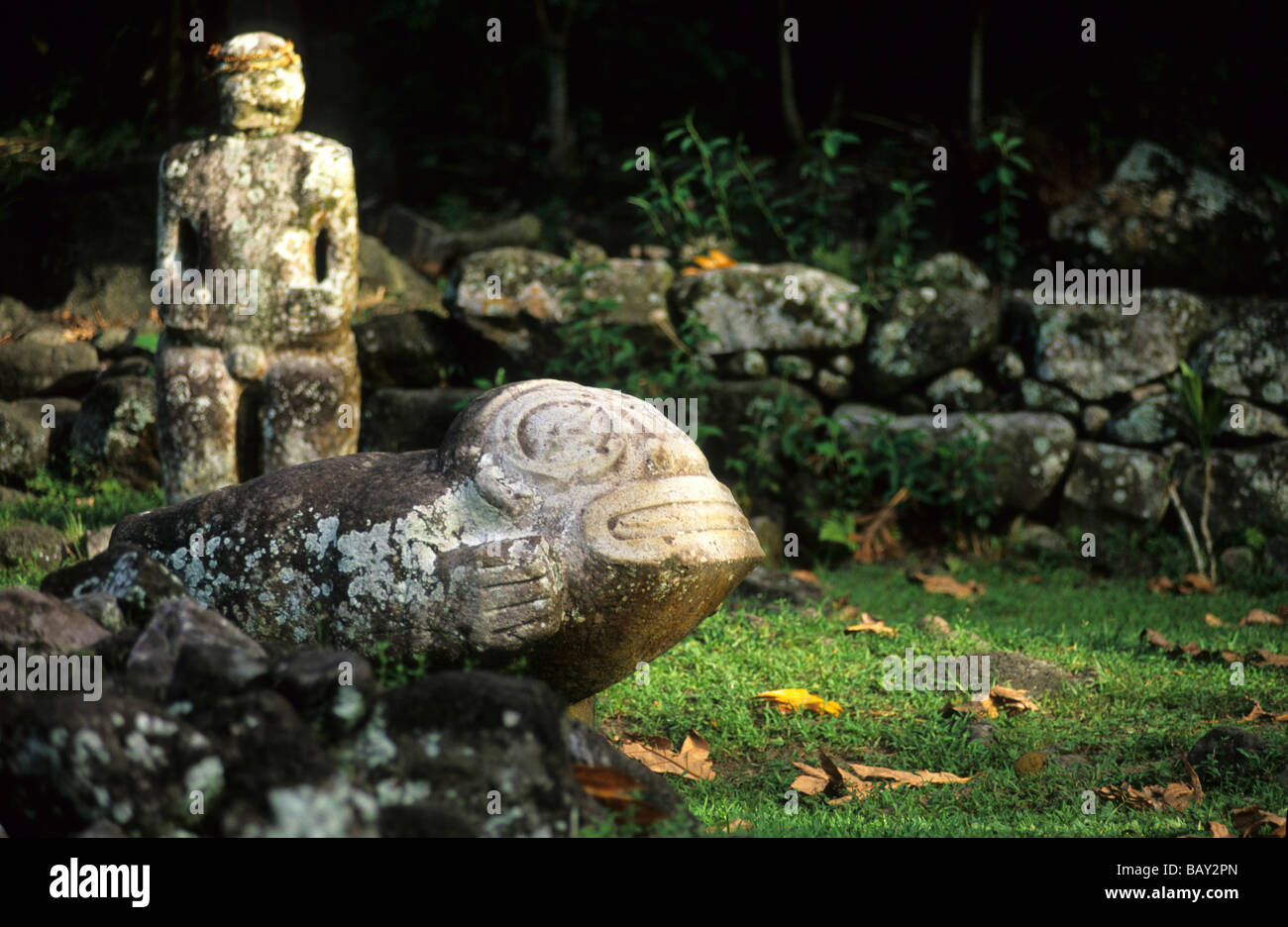 Weather beaten stone statues at the archaeological site Puamau on the ...