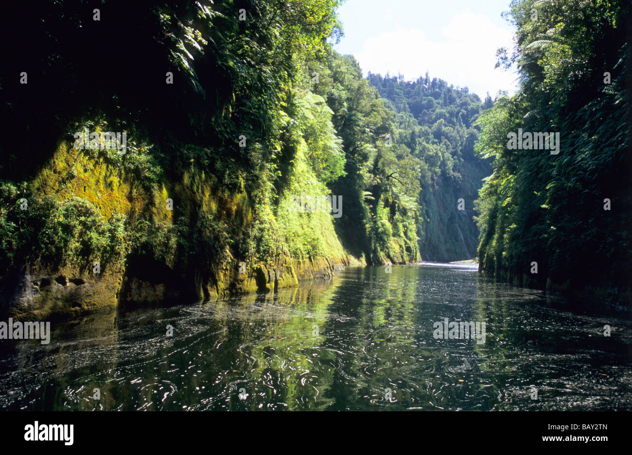 The Wanganui River in Whanganui National Park, North Island, New ...