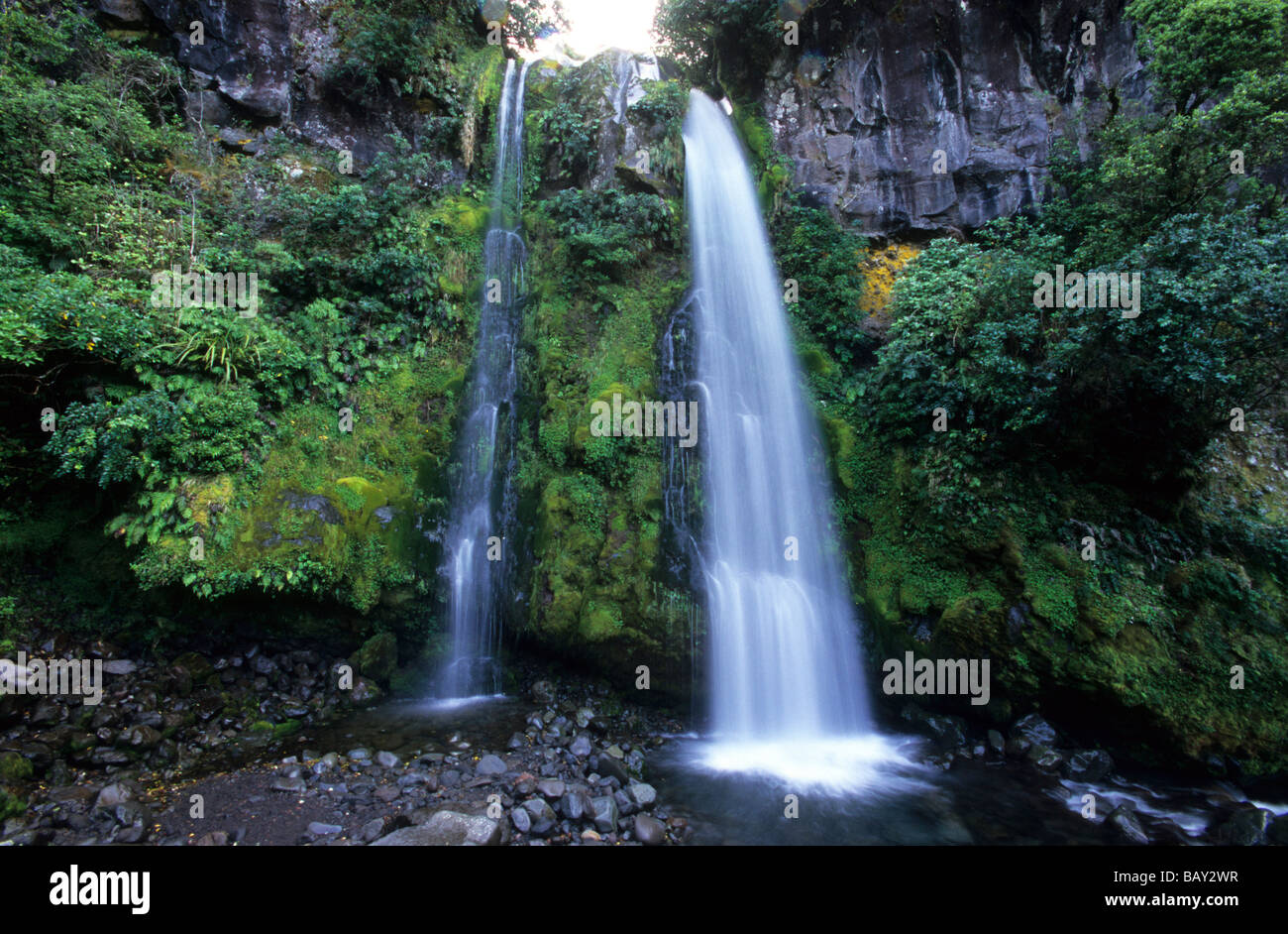 Dawson Falls at Mt. Egmont National Park, North Island, New Zealand ...