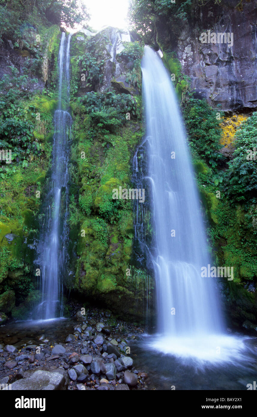 Dawson Falls at Mt. Egmont National Park on the North Island, New ...