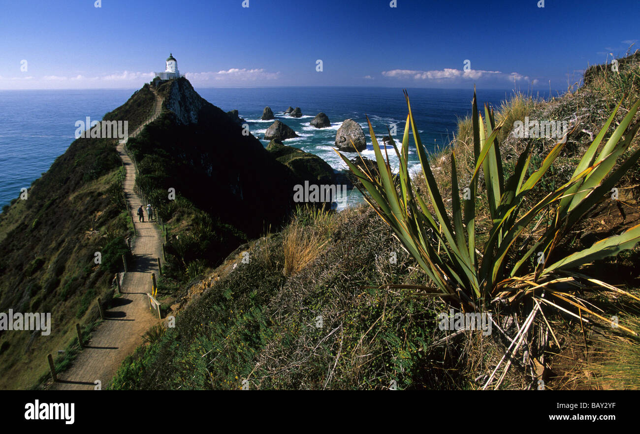 Lighthouse at Nugget Point, Catlin coast, New Zealand Stock Photo - Alamy