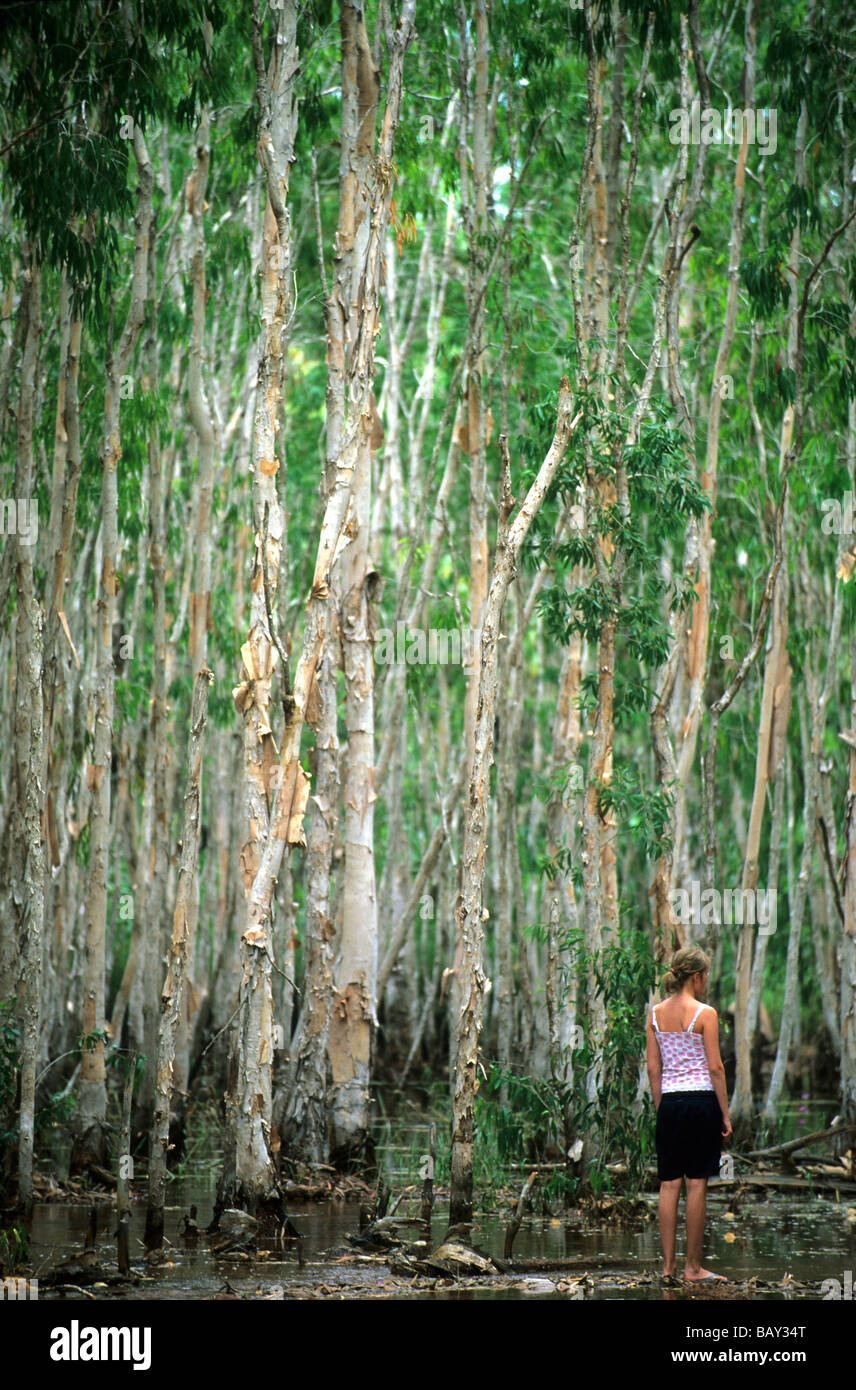 Weipa, queensland hi-res stock photography and images - Alamy