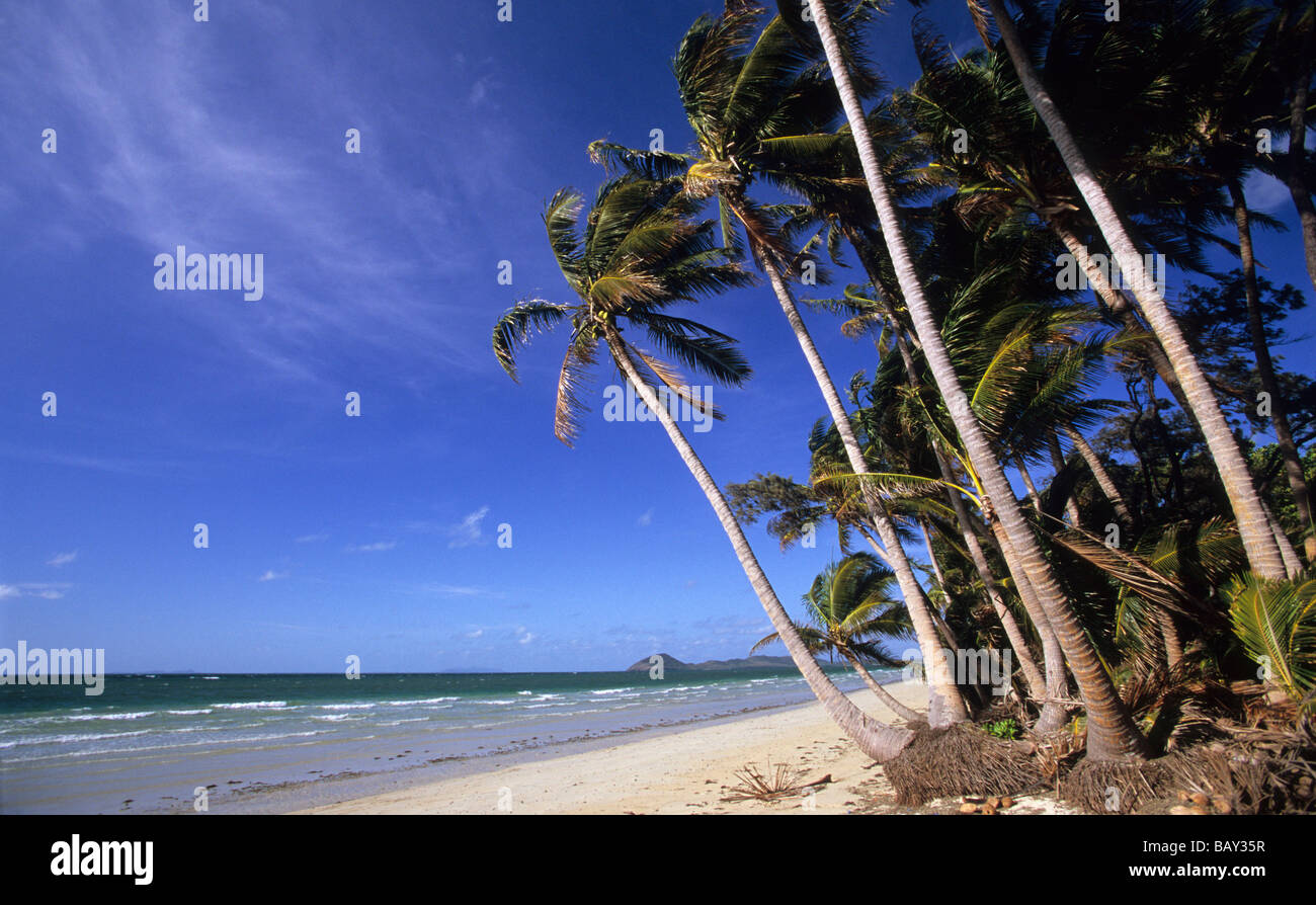 Chili Beach im the Iron Range National Park on the Cape York Peninsula ...