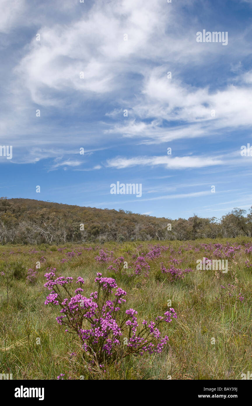 Alpine National Park Victoria High Resolution Stock Photography and ...