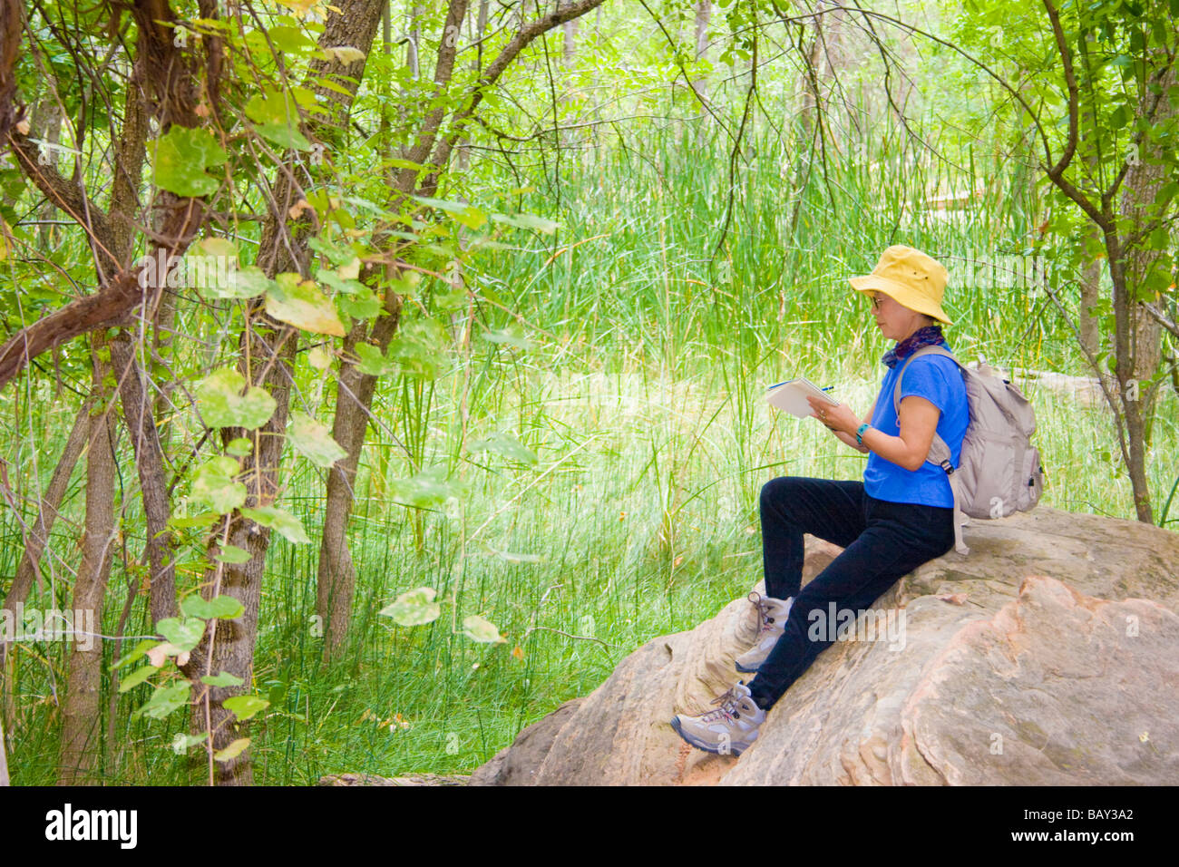 One woman writing rock outdoors hi-res stock photography and images - Alamy