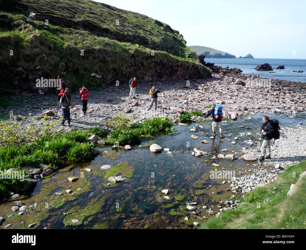 Hikers walking the Dingle Way crossing a stream, Dunquin, Dingle ...