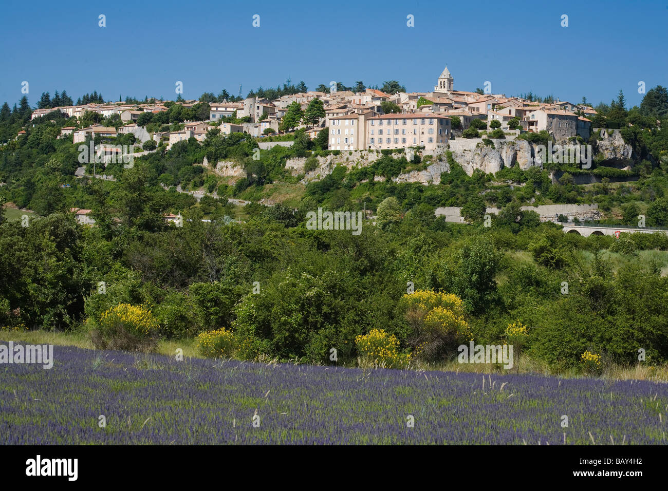 Blooming lavender field in front of the village Sault, Vaucluse ...