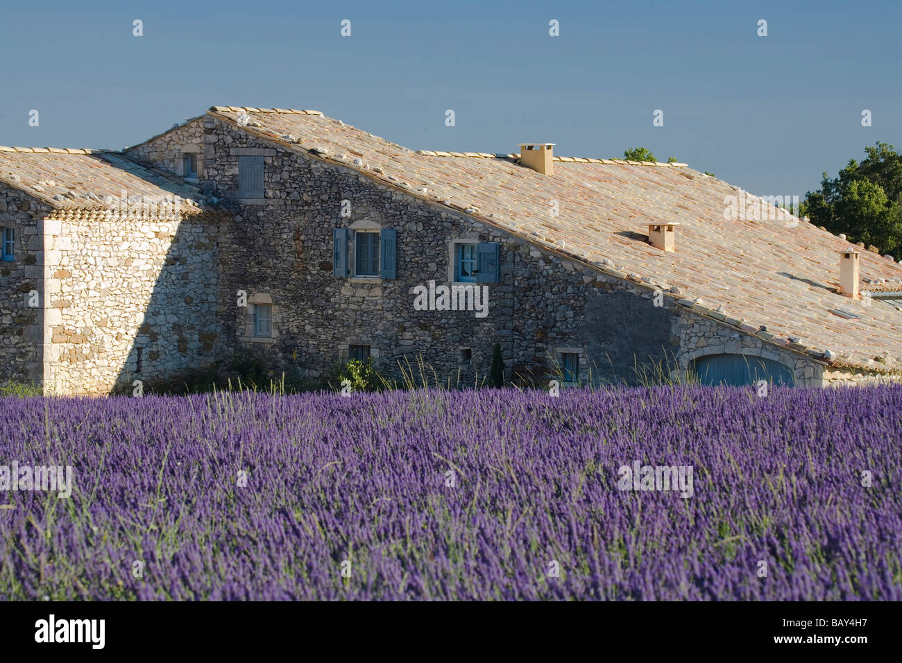 France lavender house hi-res stock photography and images - Alamy