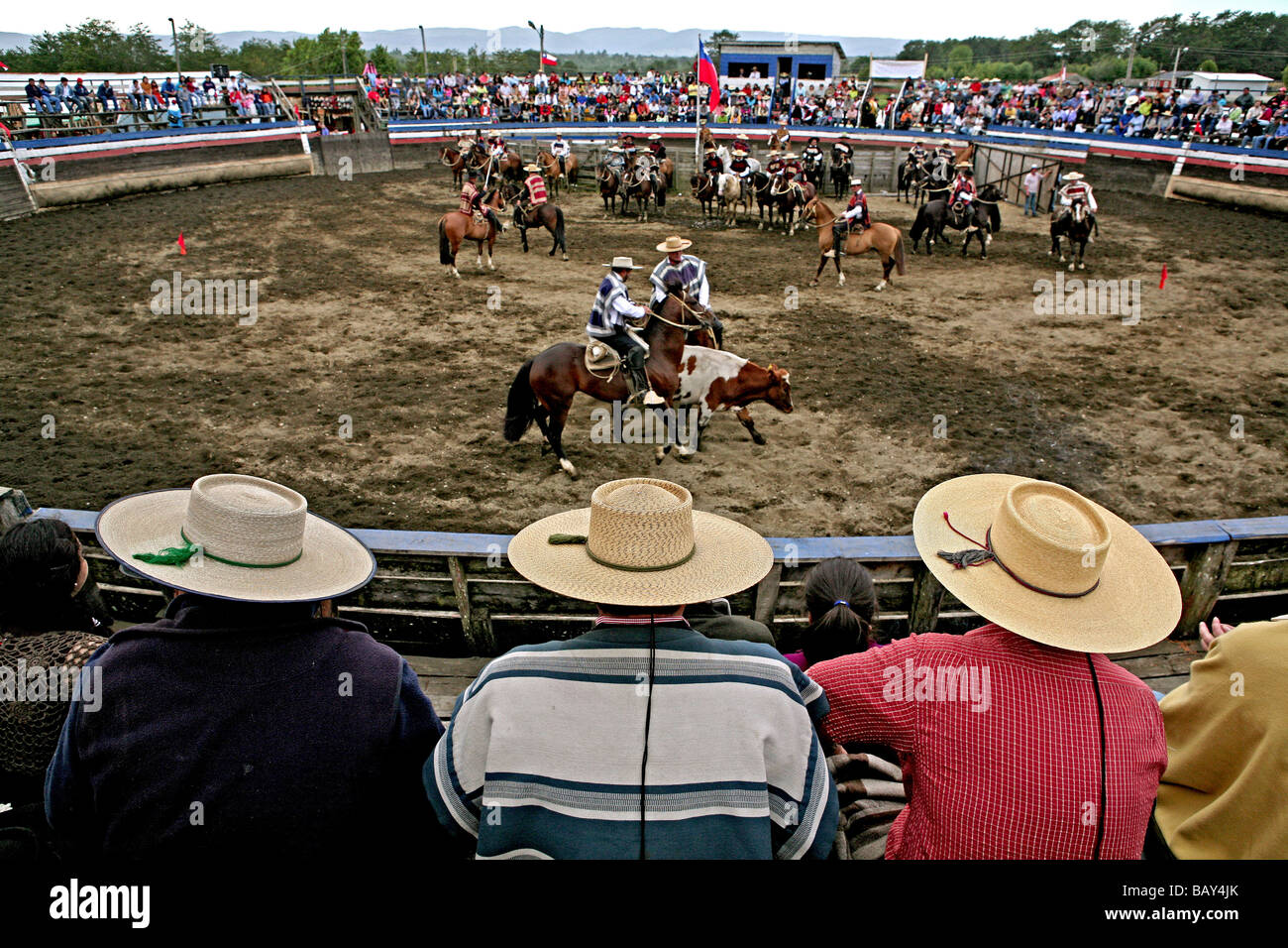 Rodeo in Conchi, Chiloé, Chile, South America Stock Photo - Alamy