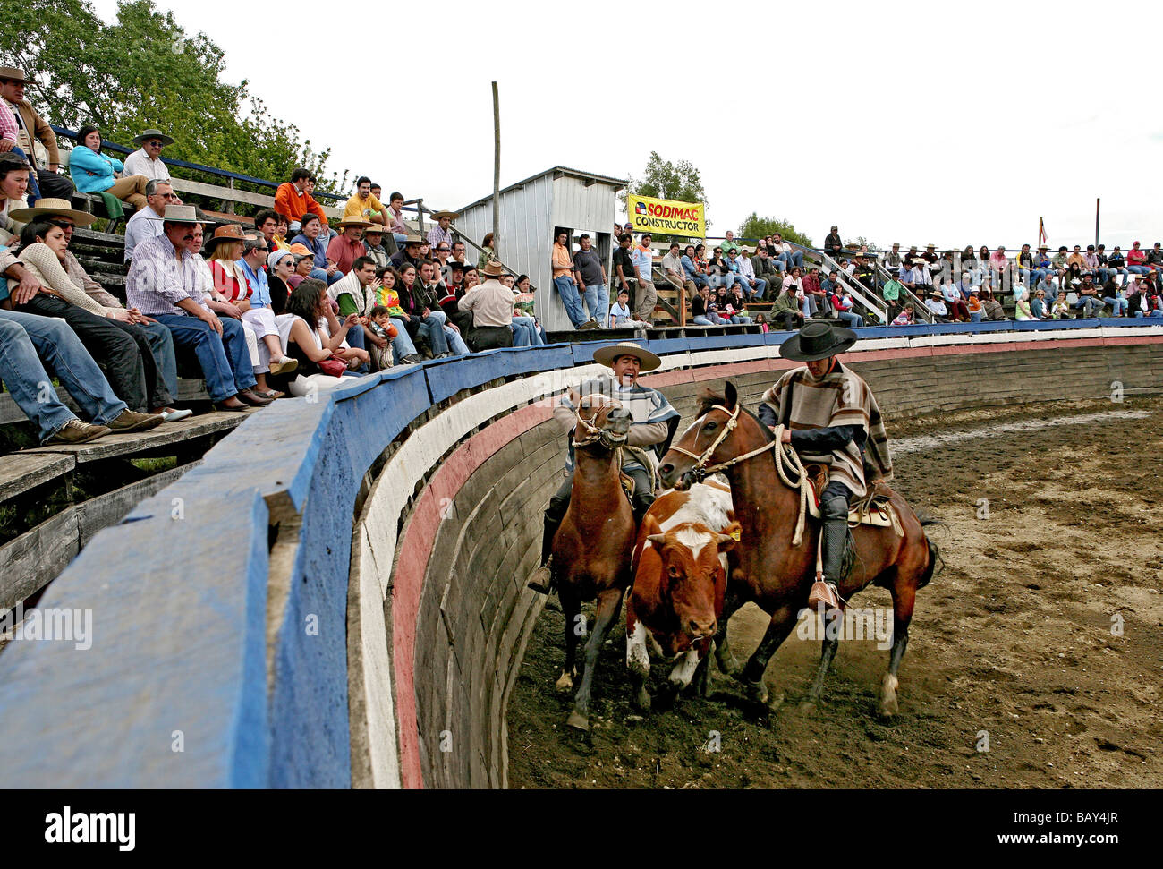 Rodeo in Conchi, Chiloé, Chile, South America Stock Photo - Alamy