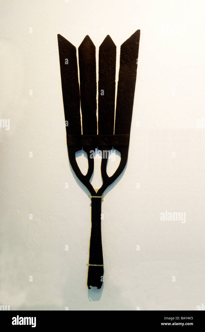 Eel Gleave for catching spearing eels Ely Museum fishing old pronged ...